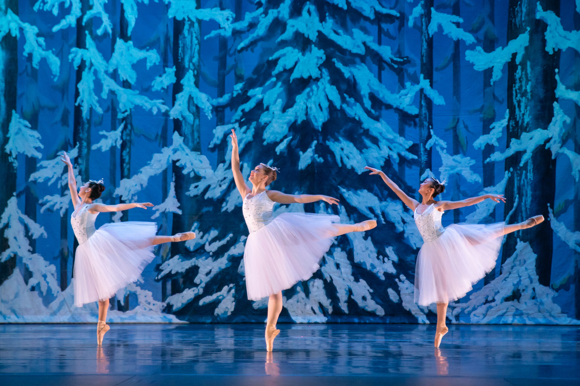 Nutcracker Special Intensive Classes